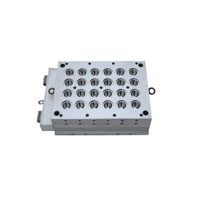 Family Injection Molds Manufacturer - Lsrmold